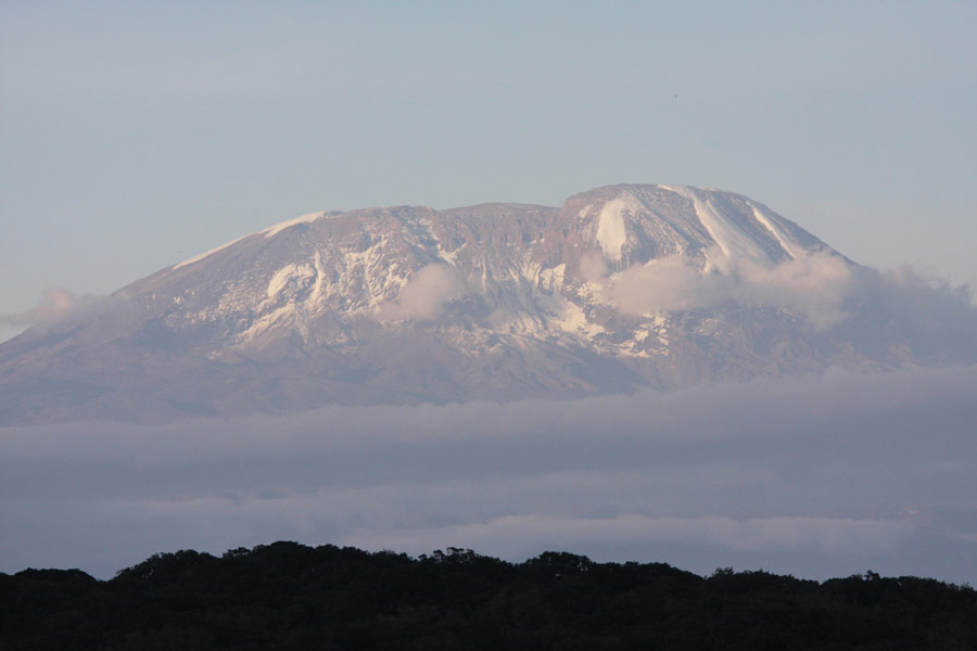 African Horizon Tours